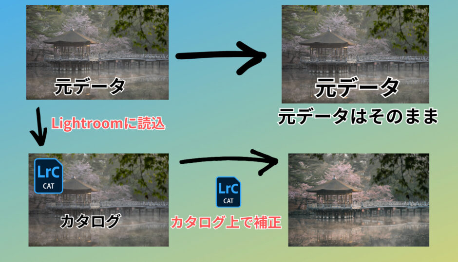 簡単&美しい写真編集！初心者に最適なLightroomの魅力 | ログカメラ